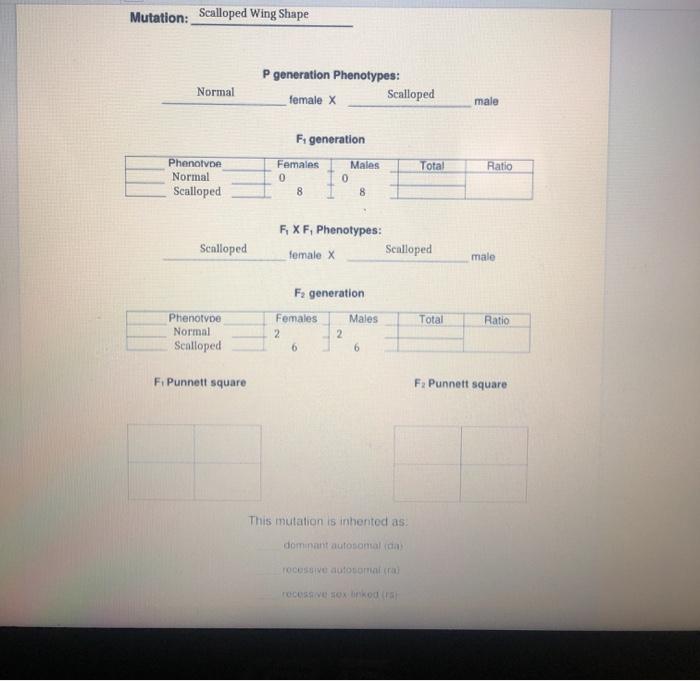 Solved Mutation: Bar eye shape Normal P generation | Chegg.com