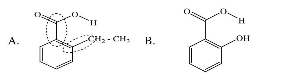 Solved which part from each of these compound that contain | Chegg.com