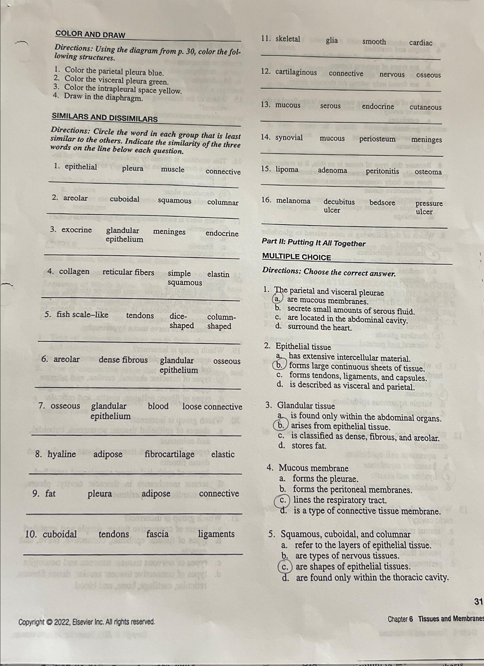 COLOR AND DRAWDirections: Using the diagram from | Chegg.com