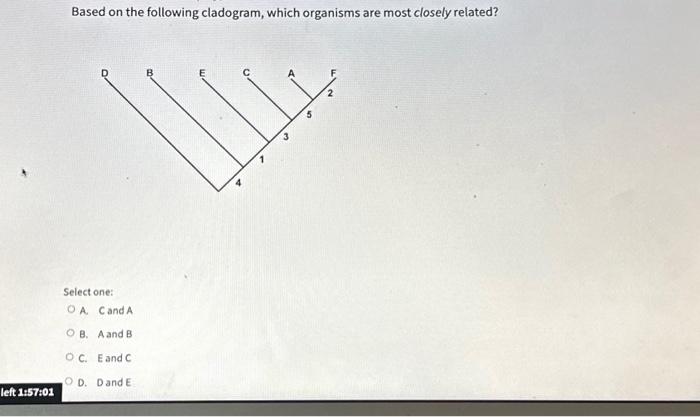 Solved Based on the following cladogram, which organisms are | Chegg.com