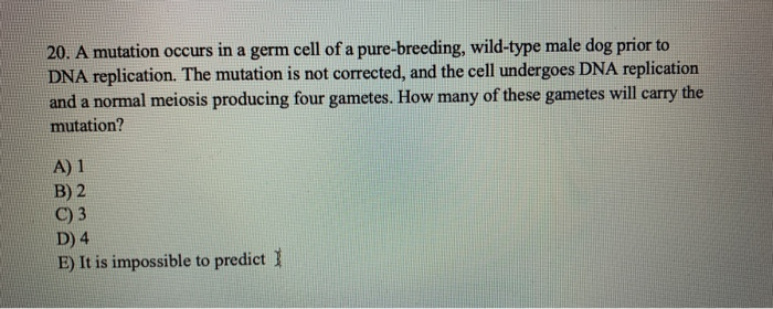 Solved 1. Results from a single locus probe DNA fingerprint | Chegg.com