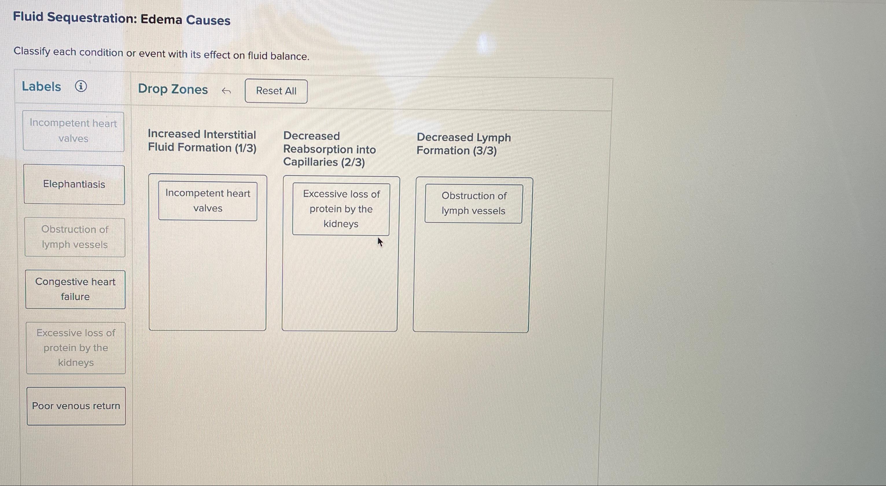 Solved Fluid Sequestration: Edema CausesClassify each | Chegg.com