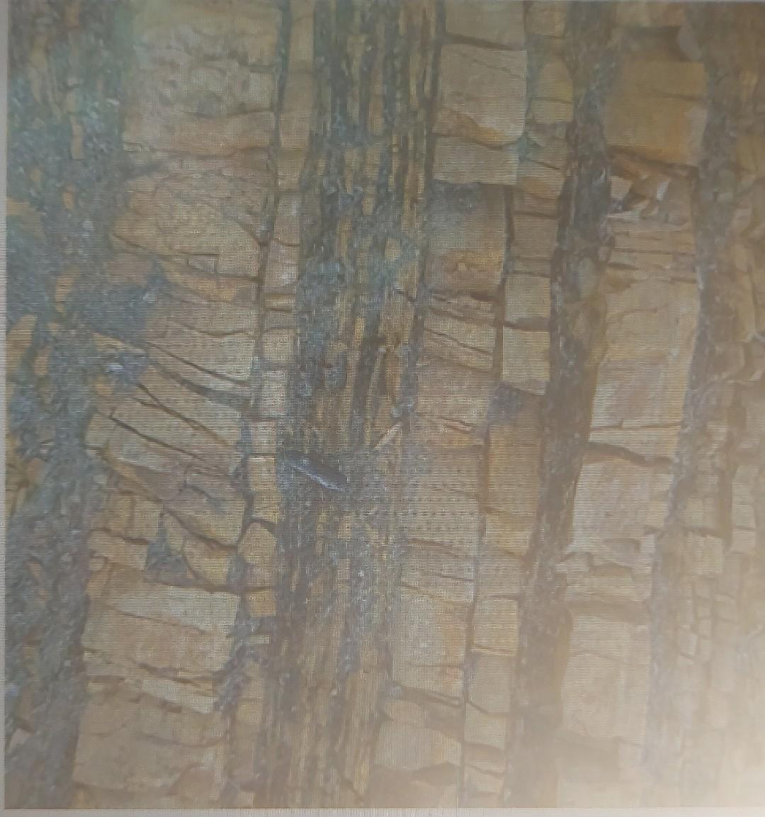 Solved Figure 3.1 View looking at a subvertical exposure | Chegg.com