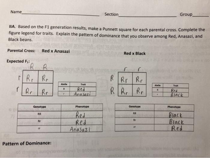 Solved The information about the Pattern of Dominance and | Chegg.com