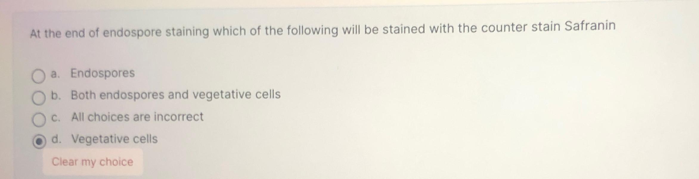 Solved At the end of endospore staining which of the | Chegg.com