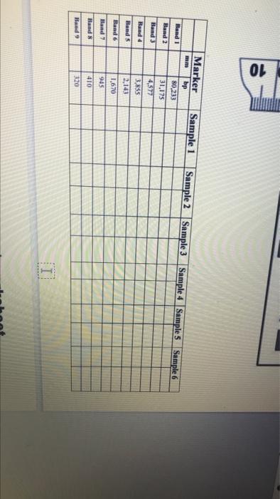 Solved 10 Marker Sample 1 mm Sample 2 Sample 3 Sample 4 | Chegg.com