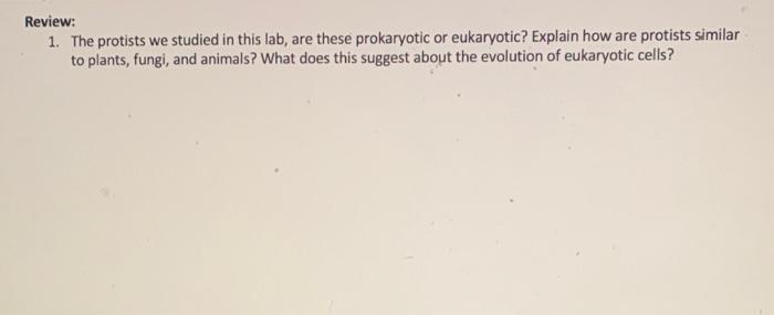 Solved Review: 1. The protists we studied in this lab, are | Chegg.com