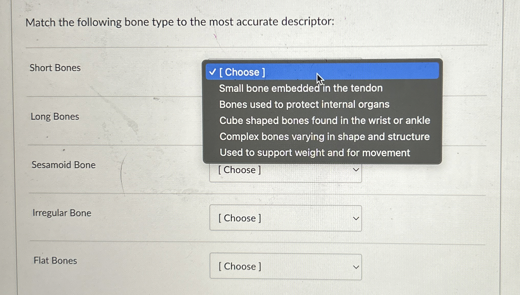 Solved Match the following bone type to the most accurate | Chegg.com