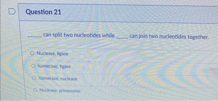 Solved can split two nucleotides while can join two | Chegg.com