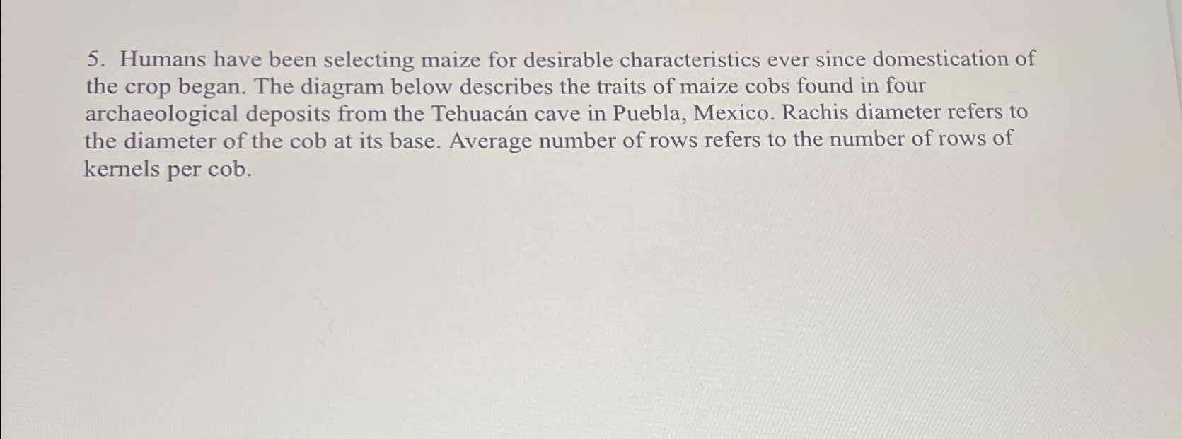 Solved Humans have been selecting maize for desirable | Chegg.com
