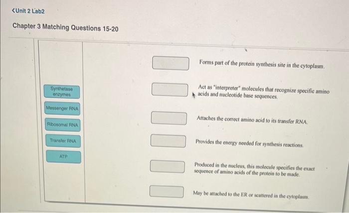 Solved Chapter 3 Matching Questions 15-20 | Chegg.com Solved Chapter 3 Matching Questions 15-20 | Chegg.com