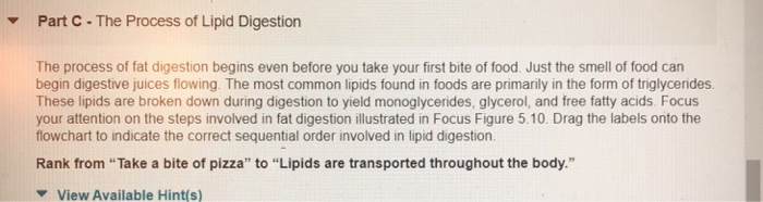 Solved Part C - The Process of Lipid Digestion The process | Chegg.com