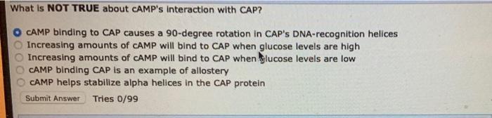 Solved What is NOT TRUE about CAMP's interaction with CAP? | Chegg.com