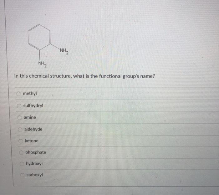 Solved NH2 NH2 In this chemical structure, what is the | Chegg.com