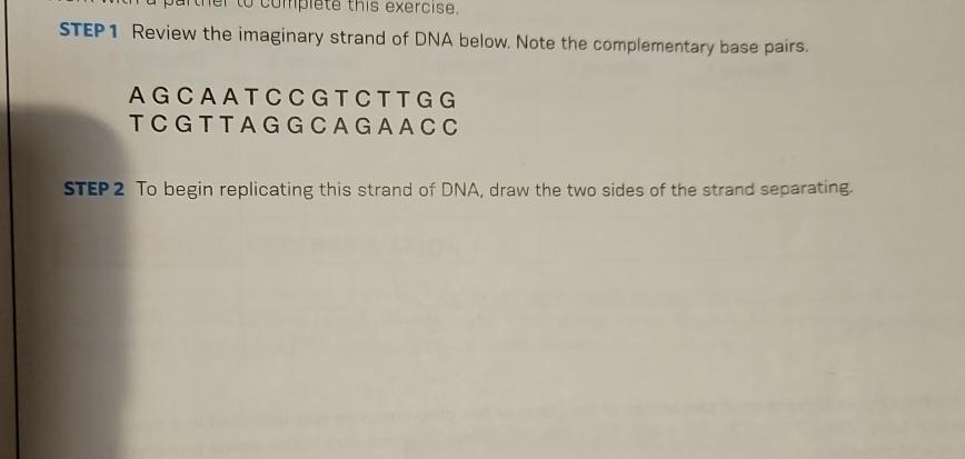 Solved STEP 1 ﻿Review the imaginary strand of DNA below. | Chegg.com