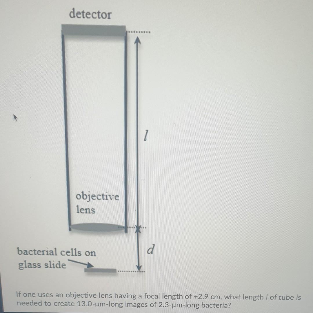 Solved The figure at below shows the design of a microscope | Chegg.com