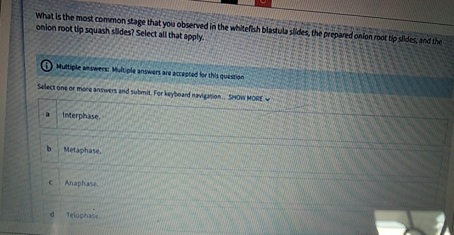 Solved What is the most common stage that you observed in | Chegg.com