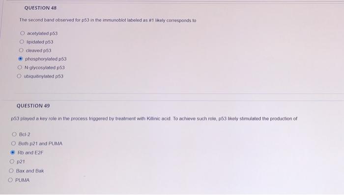 Solved The noxd 5 questons refer to the data presented below | Chegg.com