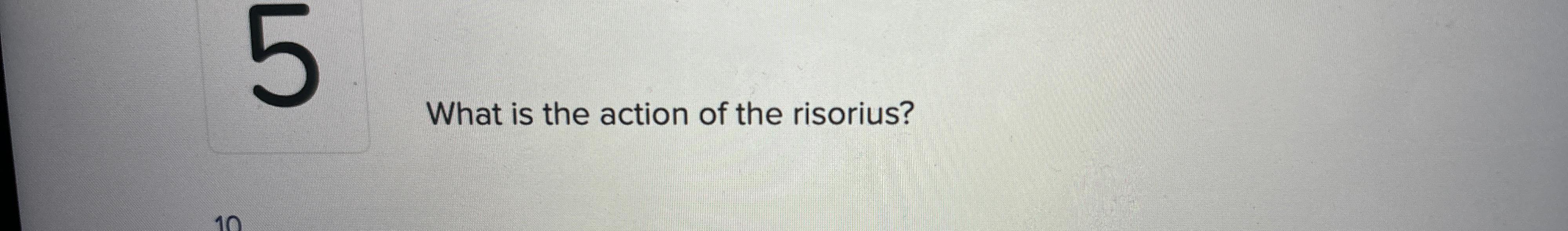 Solved What is the action of the risorius? | Chegg.com