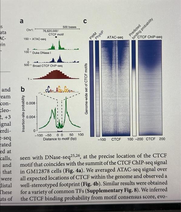 Solved explain why CTCF chip seq signals and rhe atac seq | Chegg.com