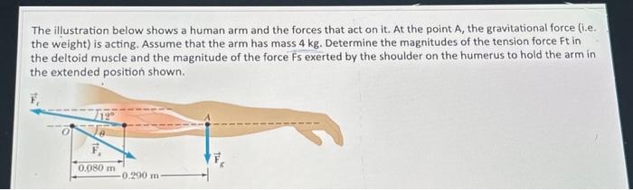 Solved The illustration below shows a human arm and the | Chegg.com