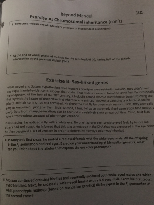 Solved 105 Beyond Mendel Exercise A: Chromosomal inheritance | Chegg.com