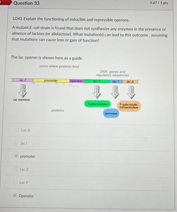 Solved LO41 Explain the functioning of inducible and | Chegg.com