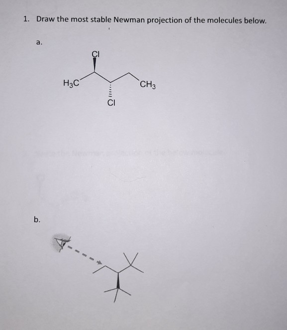 Solved 1. Draw the most stable Newman projection of the | Chegg.com