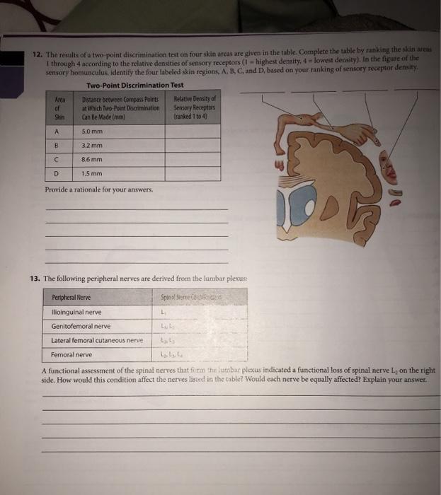 Solved 12. The results of a two point discrimination test on | Chegg.com