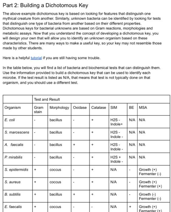 Below, you will find the dichotomous key used to | Chegg.com
