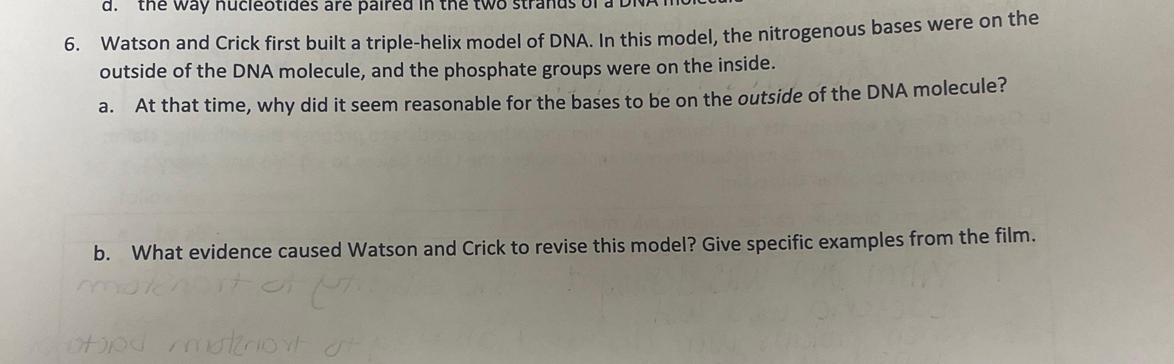Solved Watson and Crick first built a triple-helix model of | Chegg.com