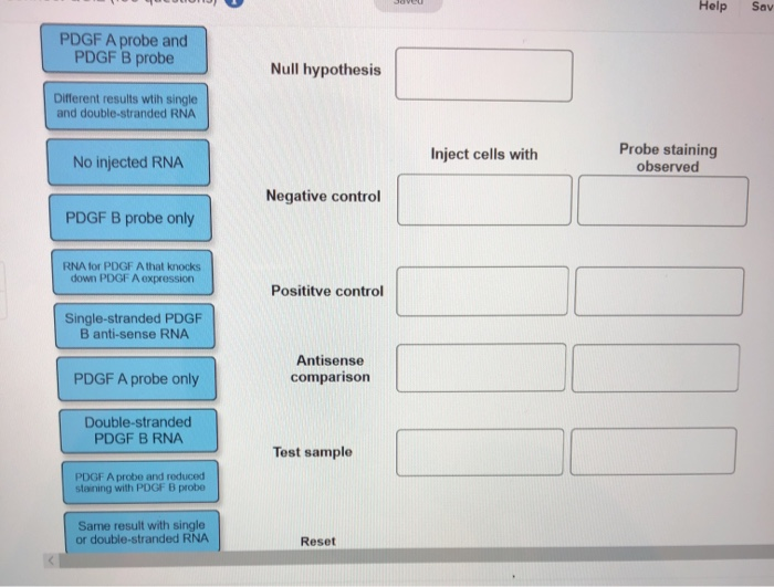 Solved Help Sav PDGF A probe and PDGF B probe Null | Chegg.com