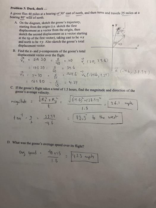 Solved Problem 3: Duck, duck ... A goose flies 40 miles at a | Chegg.com