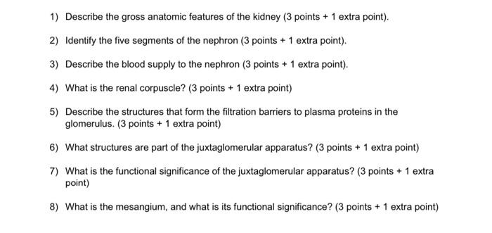 Solved 1) Describe the gross anatomic features of the kidney | Chegg.com