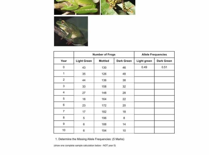 Solved Question: Are the amazon tree frogs evolving? In the | Chegg.com