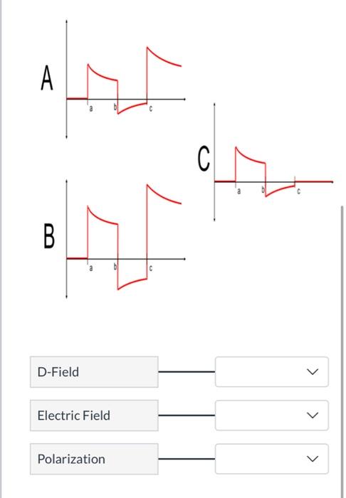 Solved D-Field Electric Field Polarization | Chegg.com