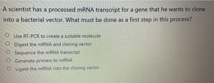 Solved a scientists has a processed mrna transcript for a | Chegg.com
