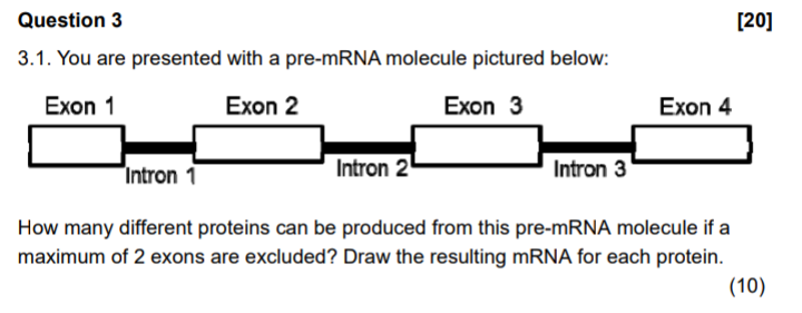 Solved 3.1. You are presented with a pre-mRNA molecule | Chegg.com