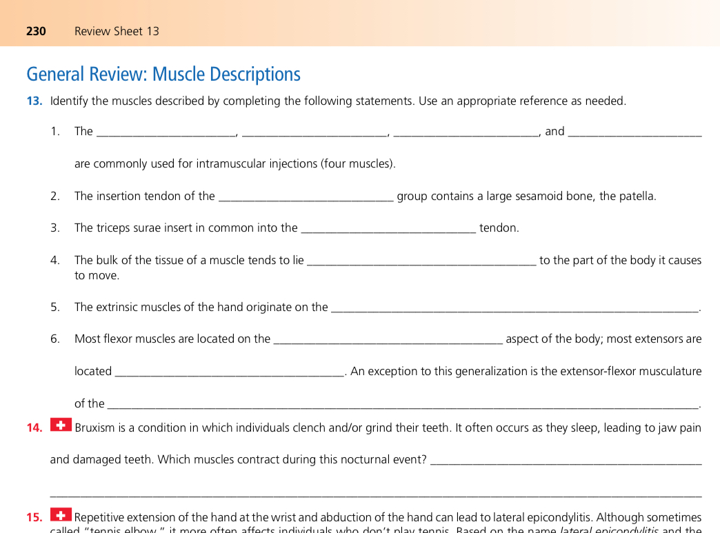 Solved 230Review Sheet 13General Review: Muscle | Chegg.com