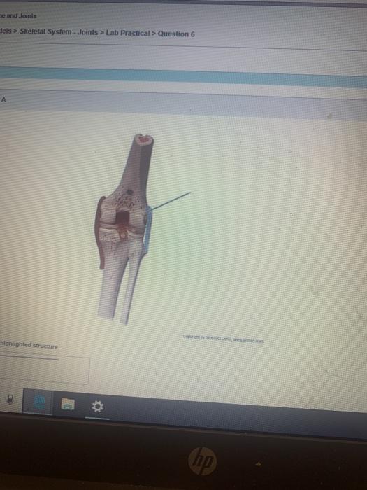 Solved dels > Skeletal System - Joints > Lab Practical > | Chegg.com