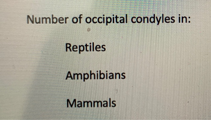 Solved Number of occipital condyles in: Reptiles Amphibians | Chegg.com