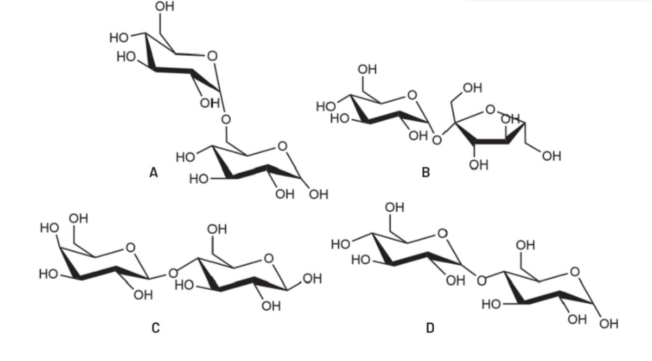 Solved Can you explain to me how to determine the type of | Chegg.com