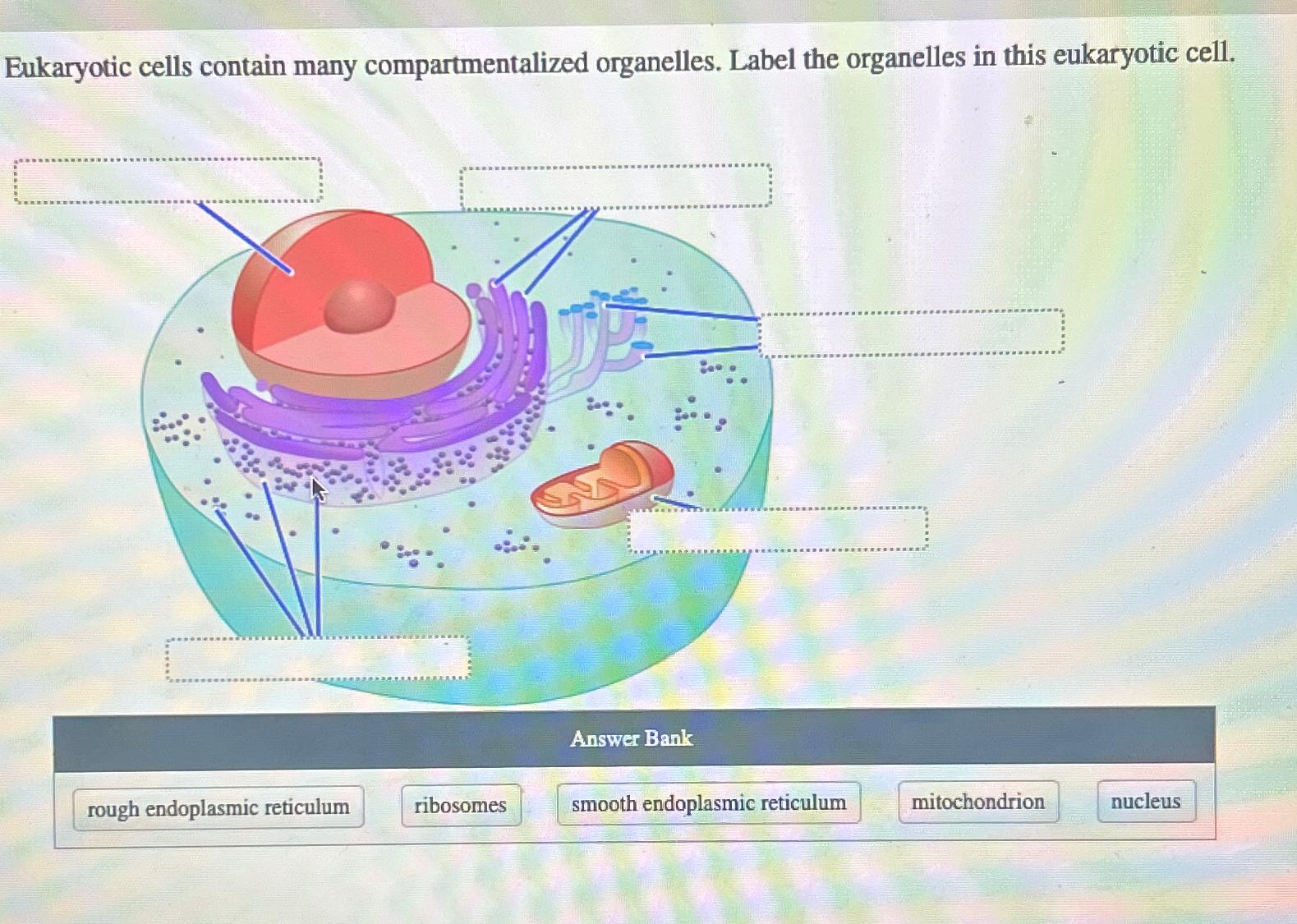Solved Eukaryotic cells contain many compartmentalized | Chegg.com