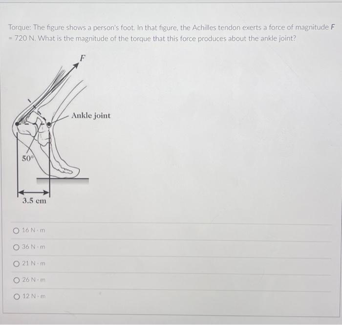 Solved Torque: The figure shows a person's foot. In that | Chegg.com