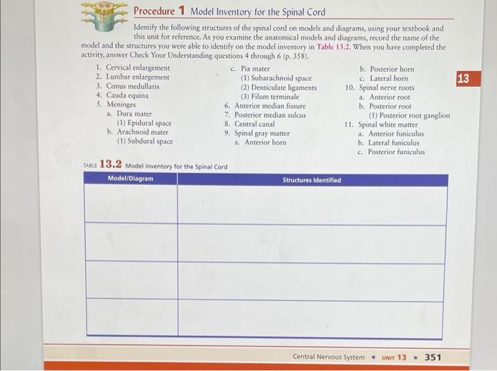 13 Procedure 1 Model Inventory for the Spinal Cord | Chegg.com