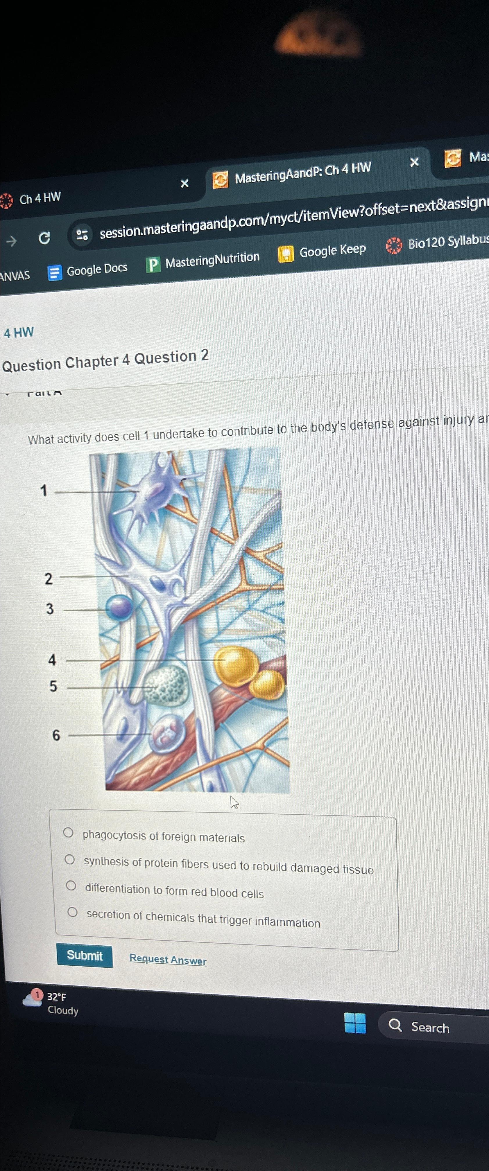 Solved Ch 4HWMasteringAandP: Ch | Chegg.com