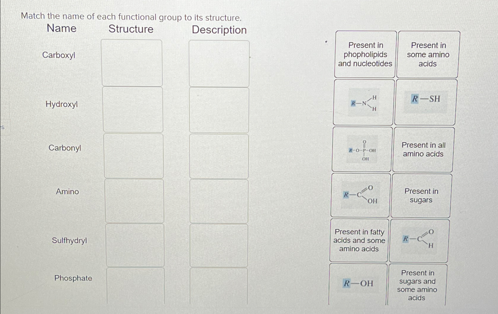 Solved Match the name of each functional group to its | Chegg.com