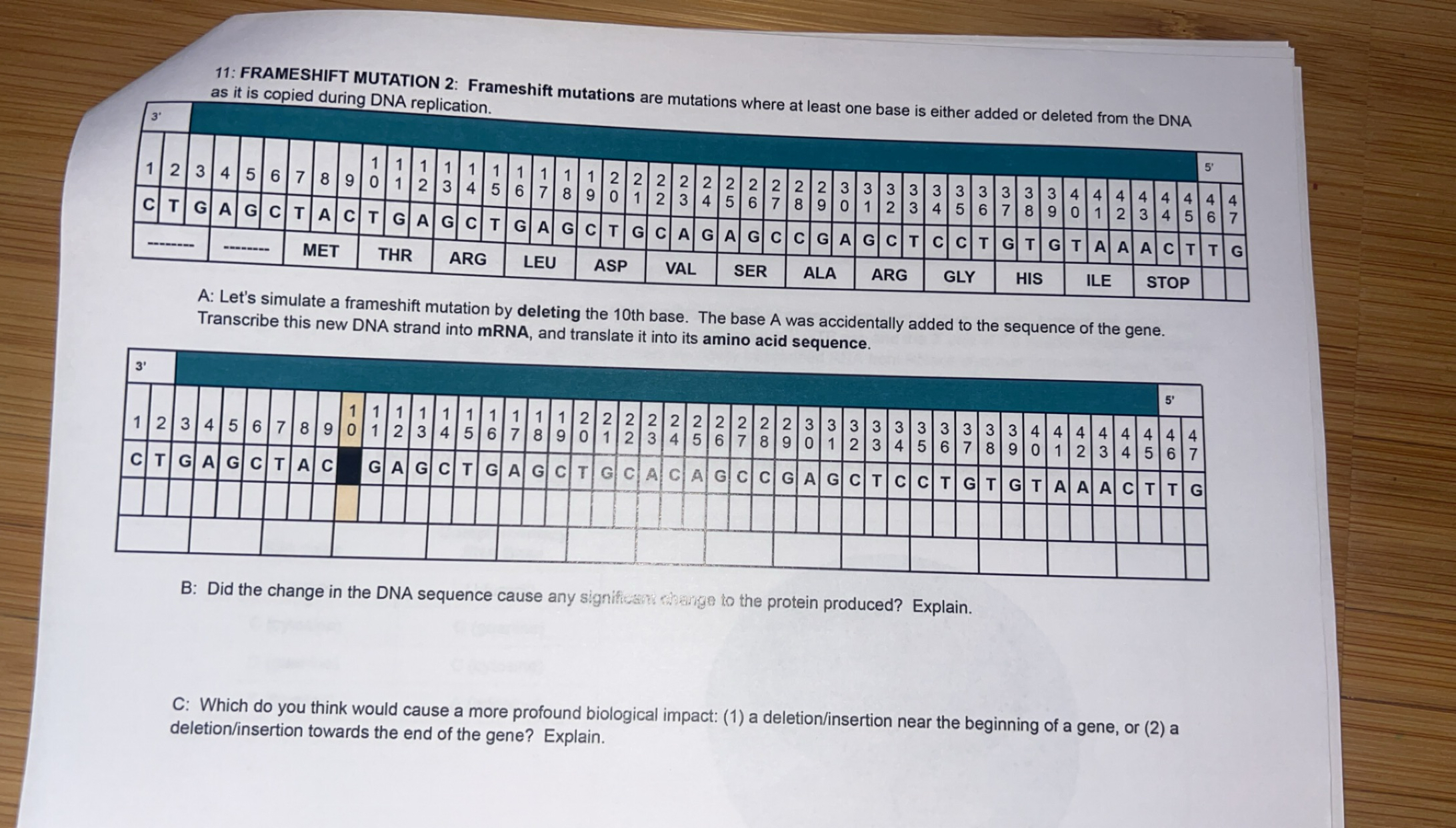 Solved 11: FRAMESHIFT MUTATION 2: Frameshift mutations are | Chegg.com