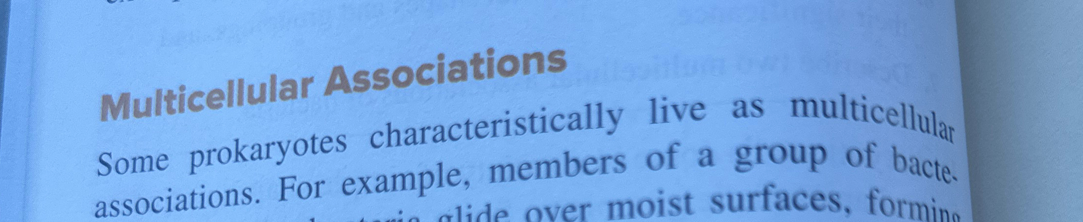 Solved Multicellular AssociationsSome prokaryotes | Chegg.com