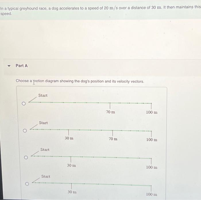 Solved In a typical greyhound race, a dog accelerates to a | Chegg.com